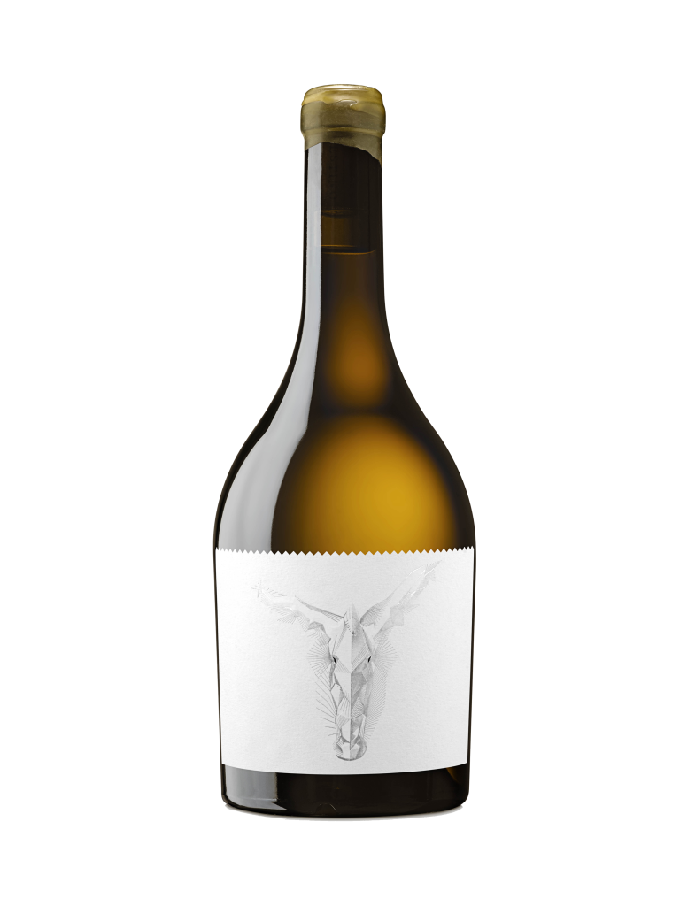 MENADE WINERY. ORGANIC WINES IN RUEDA – Bodegas Menade