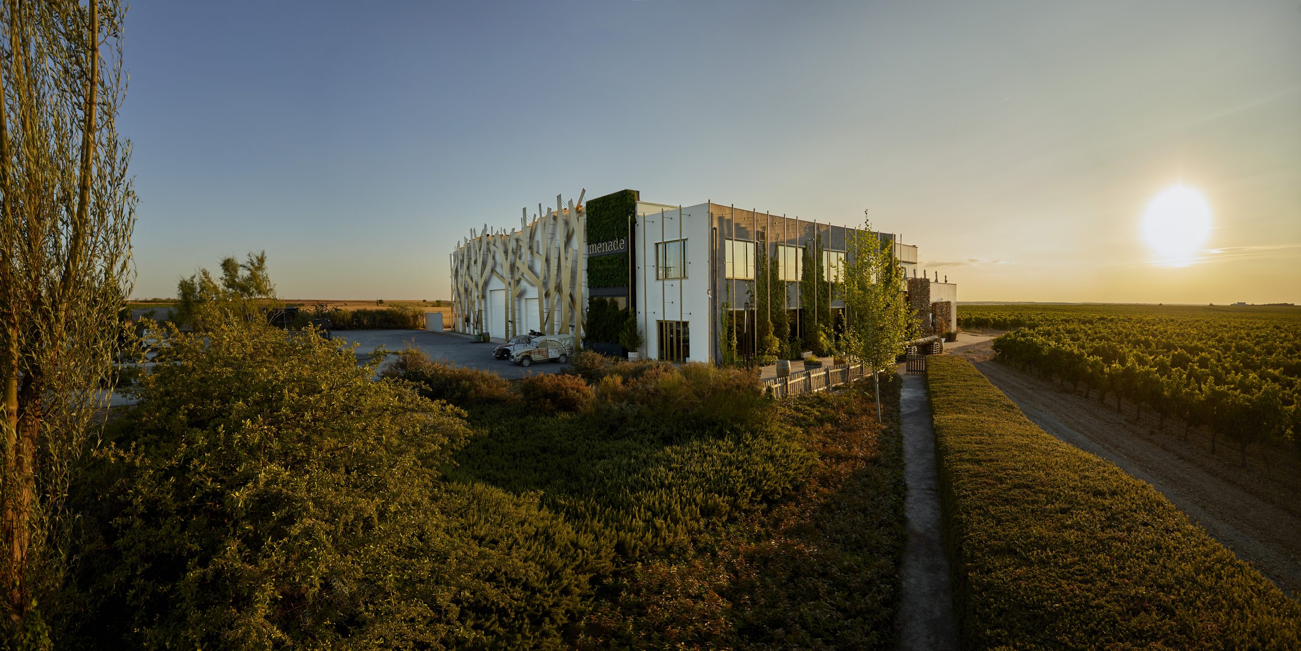 MENADE WINERY. ORGANIC WINES IN RUEDA – Bodegas Menade